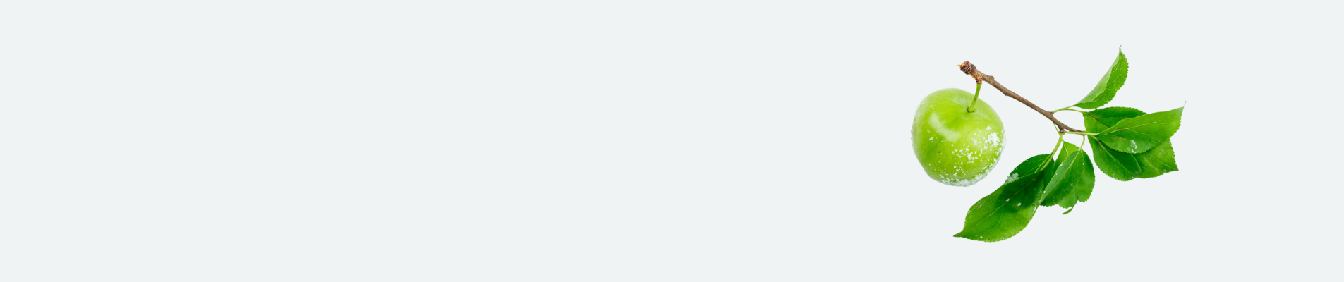 Dried Prune Bread Recipe: Moist, Sweet, and Easy to Make